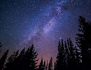 STAR BATHING - Dive into the sea of stars - Moder